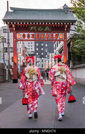 Geisha in Asakusa district of Tokyo, Japan. The word consists of two ...