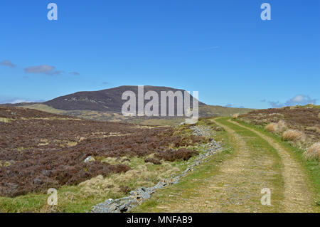 Arenig Fach from Arenig Fawr walk, Bala Stock Photo - Alamy