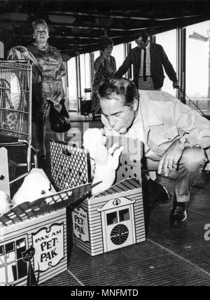 Italian actor Rossano Brazzi in a scene from the movie Light in the ...