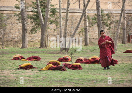 Yellow hats ( Gelugpa ) TIbetan monks during ceremony in Labrang ...