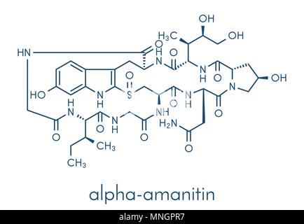 Alpha-Amanitin toxin molecule Stock Photo: 47683541 - Alamy