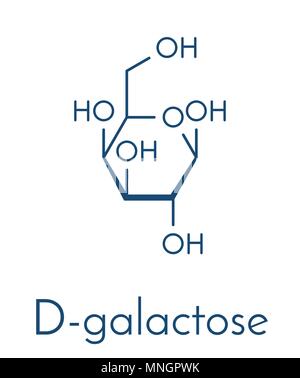 Skeletal formula of Galactose. chemical molecule Stock Vector Image ...