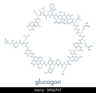 Chemical structure of glucagon, a peptide hormone secreted by the Stock ...