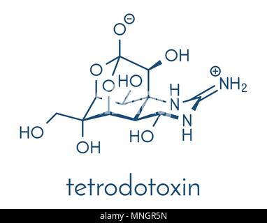 Tetrodotoxin (TTX) pufferfish neurotoxin molecule. Atoms are Stock ...