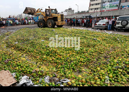 Dhaka, Bangladesh - May 17, 2018: Artificially ripened mangoes are ...