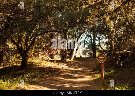 Peaceful Franklin Canyon hike in Beverly Hills, California. The park ...