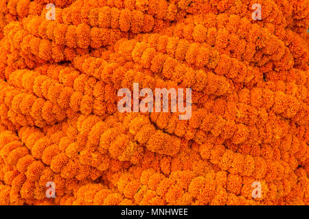 Marigold flowers garland background Stock Photo - Alamy