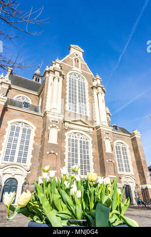 Westerkirk Church, Amsterdam, Netherlands, Europe Stock Photo - Alamy