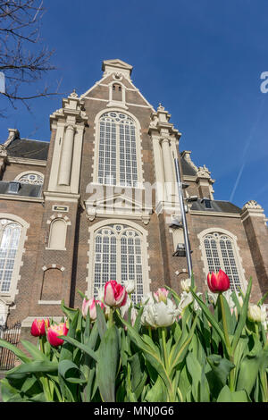 Westerkirk Church, Amsterdam, Netherlands, Europe Stock Photo - Alamy
