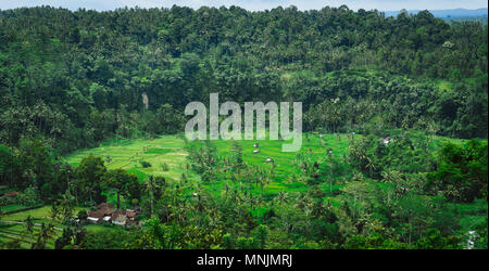 Rice tarraces and some huts between. Sideman, Bali, Indonesia Stock ...