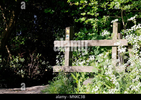 Wooden stile and gate to a country field on a public footpath in West ...