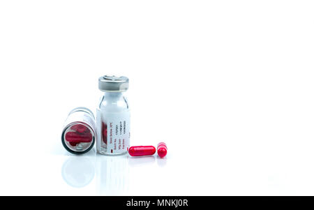 Mycobacterium tuberculosis bacteria, These Gram-positive rod-shaped ...