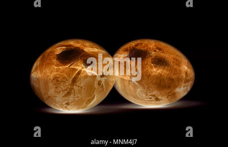 Painted eggs, easter - X-Ray - Isolated on a black background Stock ...