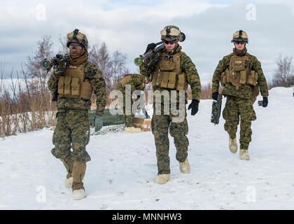 U.S. Marines assigned to 2d Low Altitude Air Defense Battalion (2D LAAD ...