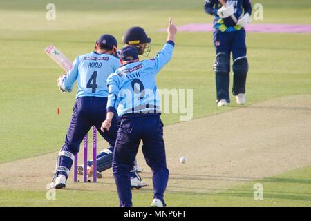 Adam Lyth of Yorkshire Vikings is bowled out by Jamie Porter Stock ...