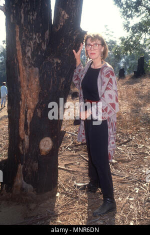 TWIN PEAKS, Catherine E. Coulson 1990-91. © ABC /Courtesy Everett ...