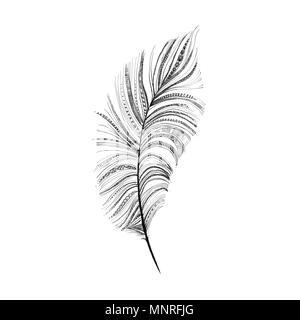 Feather pen drawing Stock Photo - Alamy