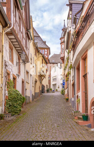 Urzig village on the Mosel between the river Moselle and the vineyards ...