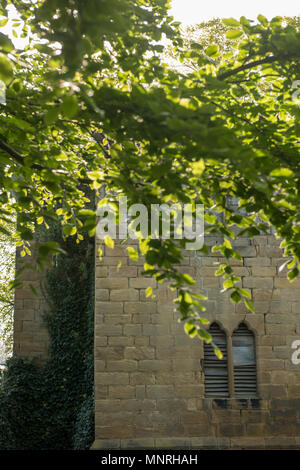Alnwick Castle partially obscured by lush green trees under a clear ...