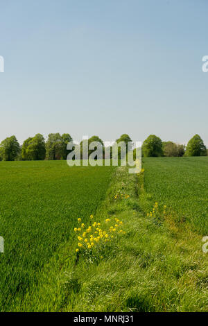 High Melton Parish Doncaster Stock Photo - Alamy