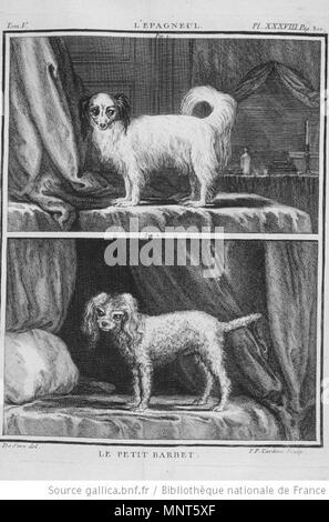 . English: Barbet (dog breed) . 1755. Georges-Louis Leclerc Buffon ...