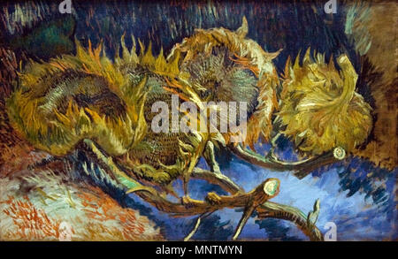 Four Cut Sunflowers Stock Photo - Alamy