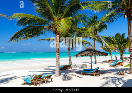 Beach beds among palm trees at perfect white sand tropical coast Stock ...