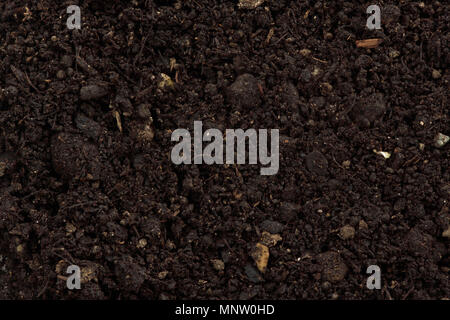 Close up of composted organic garden mulch covering the ground in front ...