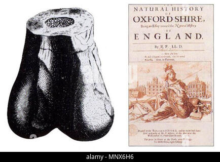 Robert Plot Natural History of Oxfordshire Stock Photo - Alamy