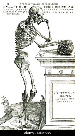 Vesalius, Andreas Stock Photo - Alamy