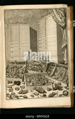 . Illustration from the book, Wondertooneel der Nature - a Cabinet of ...