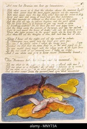 William Blake - Visions of the Daughters of Albion, Plate 8, ''But when ...