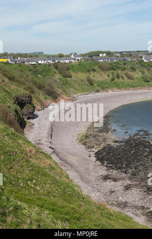 Catterline Bay, Aberdeenshire, Scotland Stock Photo - Alamy