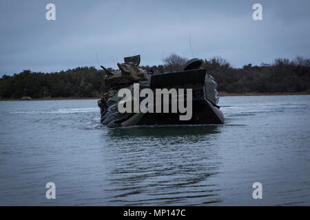 U.S. Marines with 2nd Assault Amphibian Battalion (2nd AAVBN), 2nd ...