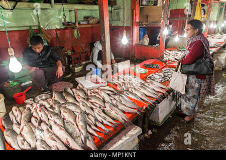 Fish market, Shillong, Meghalaya, India Stock Photo - Alamy
