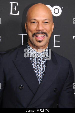 Common attends HBO's "The Tale" FYC Event at the Landmark Theatre on ...