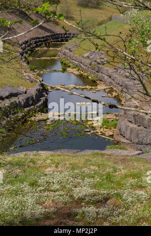 River Nent at Nenthead Stock Photo - Alamy