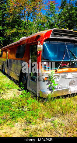 Old, abandoned, and dilapidated school bus in a field, Torbay ...