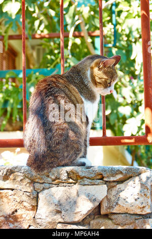 Full body shot profile view of handsome man with curly hair looking at ...