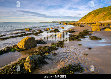 Rocky shoreline at Bucks Mills on the North Devon coast Stock Photo - Alamy