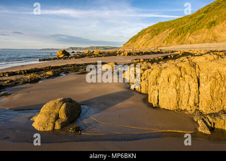 Rocky shoreline at Bucks Mills on the North Devon coast Stock Photo - Alamy