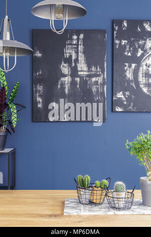 Close-up of potted plants on wall by door of old building in historic ...