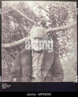 Photo of a Moriori man, 1900 Stock Photo - Alamy