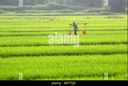 Yongfeng, China's Jiangxi Province. 21st Mar, 2018. A tourist takes ...
