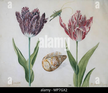 Jacob Marrel (1613/1614-1681). German painter. Still Life with Flower ...