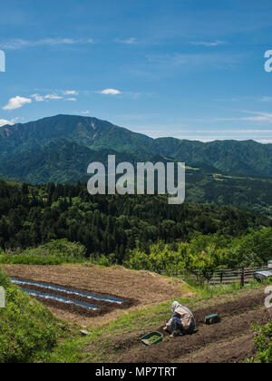 A Japanese farmer is working on his field inside an agricultural area ...