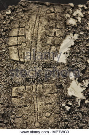 Crime scene shoe print casting using a casting medium and Stock Photo ...