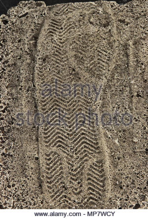 Crime scene shoe print casting using a casting medium and Stock Photo ...