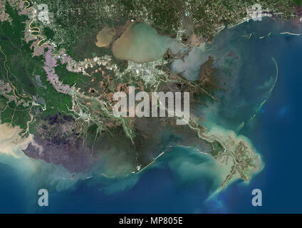 Satellite image of the Mississippi River Delta enters the Gulf of ...