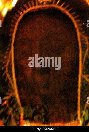 . English: Marian icon from Kaluga (Russia) Русский: Калужская икона ...